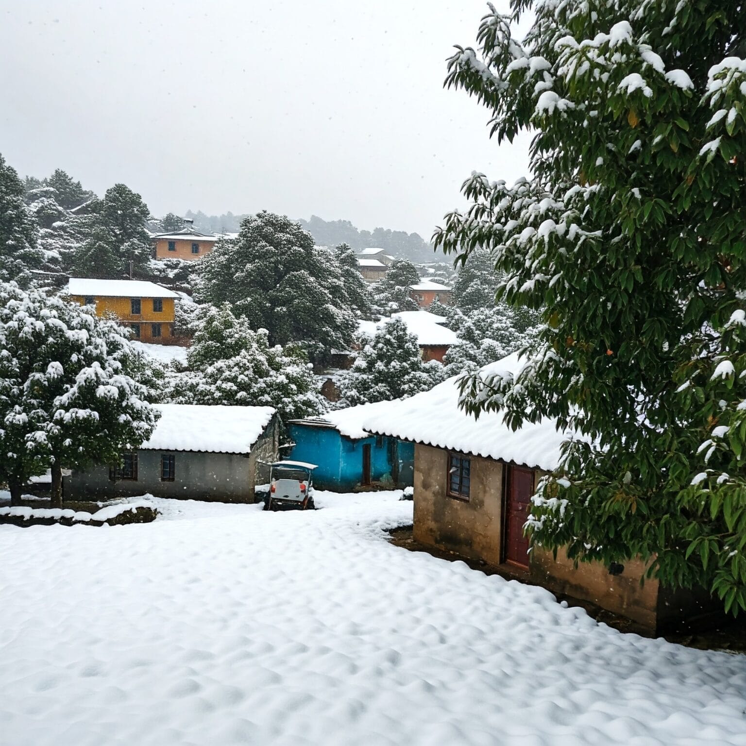 Lambasingi: A Hidden Snowy Wonderland in South India - Vaayutrip